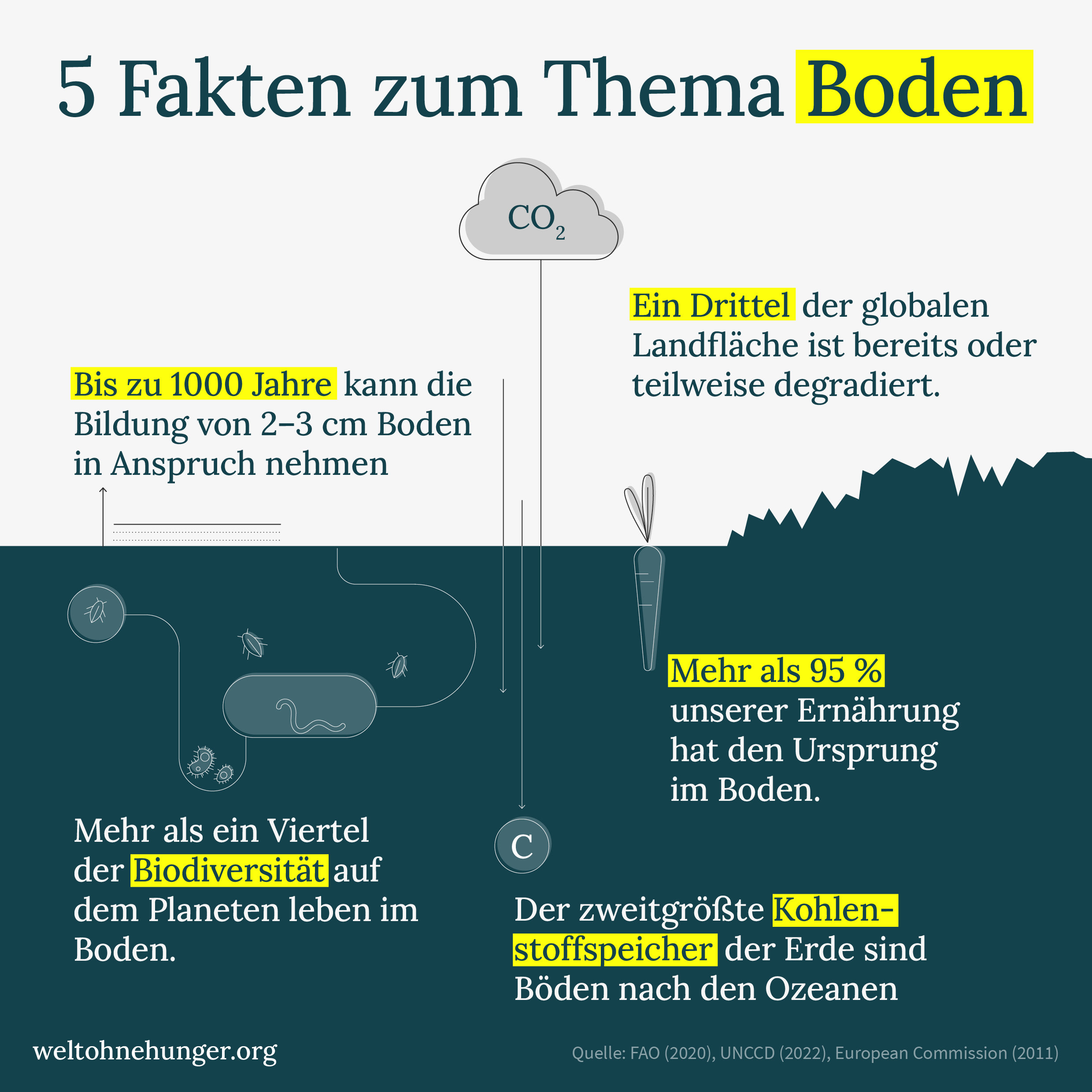 Fünf Fakten zum Thema Boden - Food4Transformation